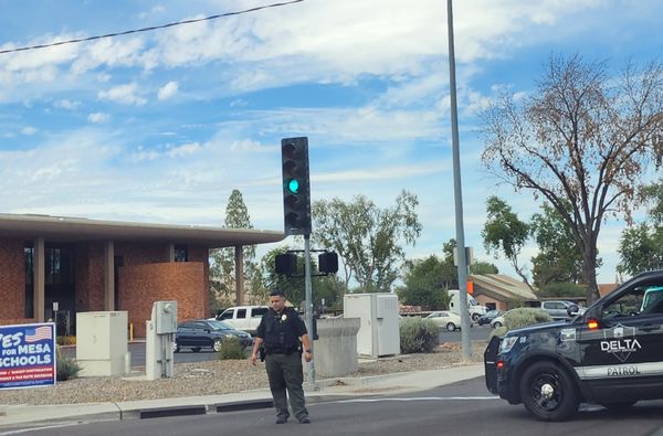 DELTA SECURITY SERVICES - Updated December 2025 - 34 Photos - 8055 N ...