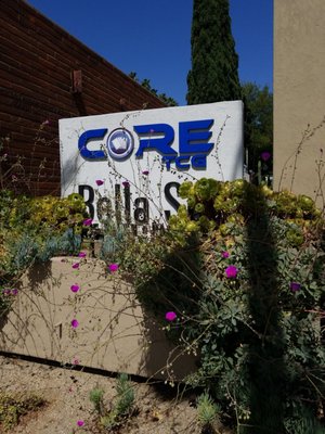 CORETCG - 44 Photos & 116 Reviews - Toy Stores - 770 S Arroyo Pkwy, Pasadena, CA - Phone Number ...