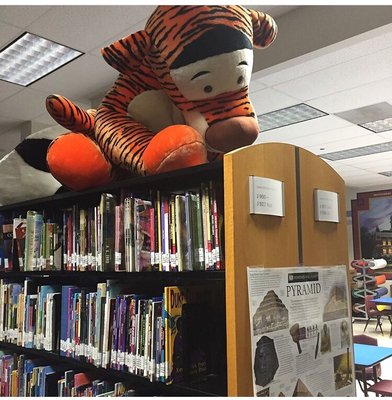 CLARKSVILLE MONTGOMERY COUNTY PUBLIC LIBRARY - Updated October 2025 ...