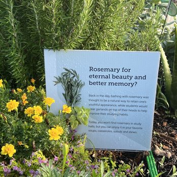 MEADOWS PARK - Updated December 2025 - 33 Photos - 1300 NW 8th St, Boca ...