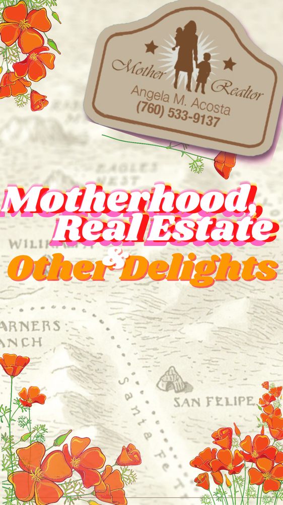 MOTHER REALTOR - Updated August 2024 - 10 Photos - 36651 Hwy 79, Warner ...