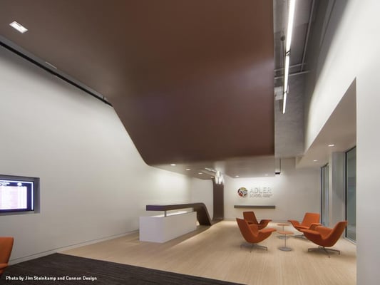 ADLER UNIVERSITY - Updated May 2026 - 33 Photos & 26 Reviews - 17 N ...