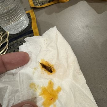 TRINITY STREET FOOD - Updated November 2024 - 332 Photos & 196 Reviews ...