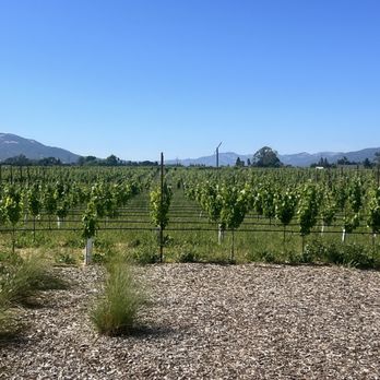 ANABA WINES - Updated October 2025 - 368 Photos - 324 Reviews - 62 ...