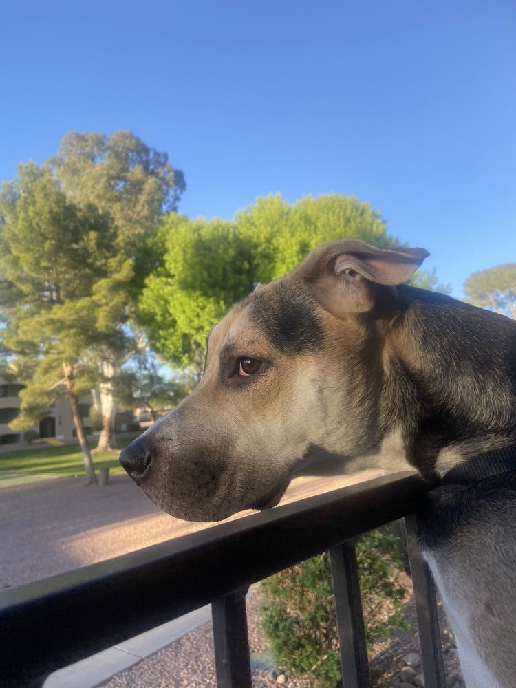 CATALINA CANYON APARTMENTS - Updated June 2025 - 42 Photos & 19 Reviews ...