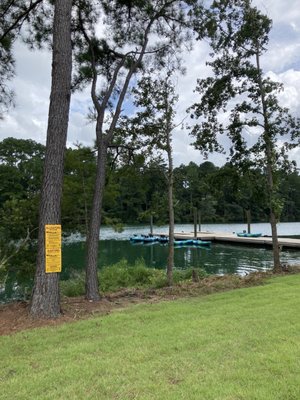 PINE TRACE PARK - Updated November 2025 - 19 Photos - 303 Chandler ...