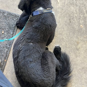 THE BREWMASTER’S TAPROOM - Updated May 2025 - 371 Photos & 105 Reviews ...