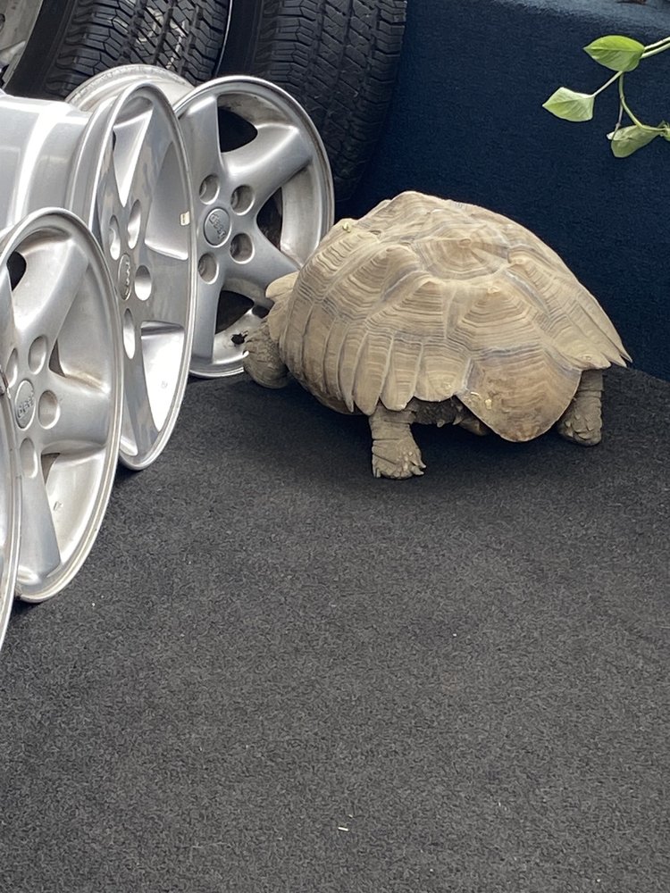 GLOBAL AUTO REPAIR - Updated December 2025 - 40 Reviews - 8836 S Cicero ...