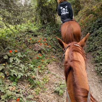 PACIFIC DUNES RIDING RANCH - Updated January 2026 - 93 Photos & 123 ...