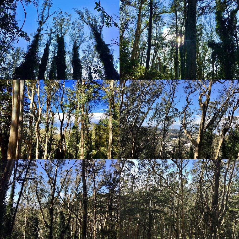 MOUNT DAVIDSON PARK - Updated October 2024 - 703 Photos & 203 Reviews ...