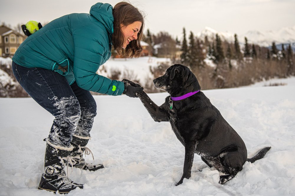 MEREDITH BERG PHOTOGRAPHY - Request Information - 11 Photos - Anchorage ...