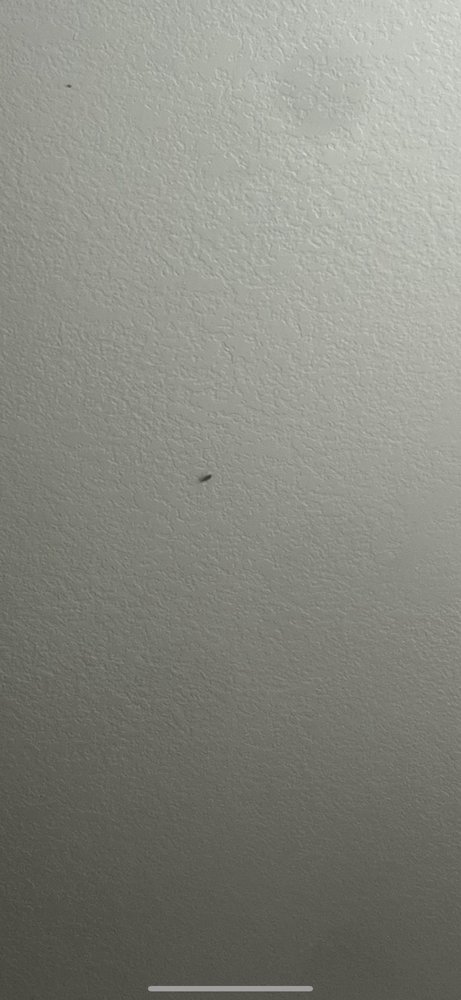 ROSE POINTE APARTMENTS - Updated July 2025 - 6640 Orizaba Ave, Long ...