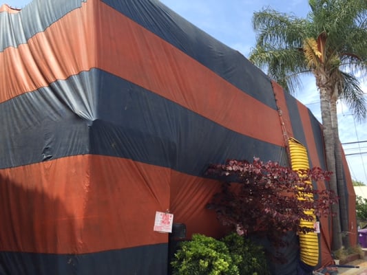 PREMIUM TERMITE & PEST CONTROL - Updated May 2026 - 49 Photos & 769 ...