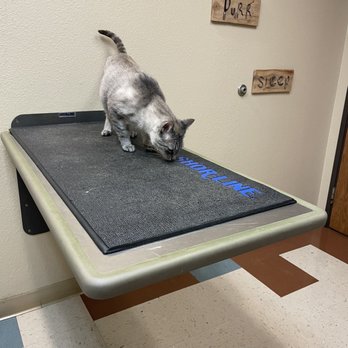 HURST ANIMAL CLINIC - Updated December 2025 - 26 Photos & 77 Reviews ...