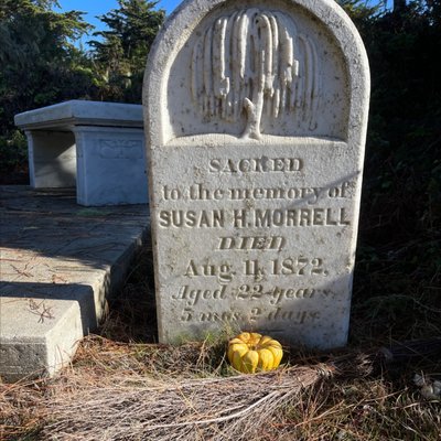 PURISSIMA CEMETARY NATURAL BURIAL GROUND - Updated May 2024 - 1725 ...