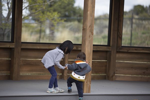 ANIMAL ARK - Updated May 2024 - 497 Photos & 146 Reviews - 1265 ...