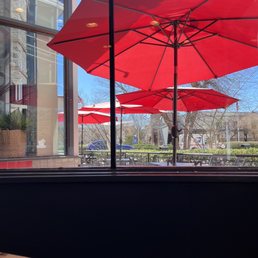 LECHÓN LATIN BBQ & BAR - Updated December 2025 - 229 Photos & 171 ...