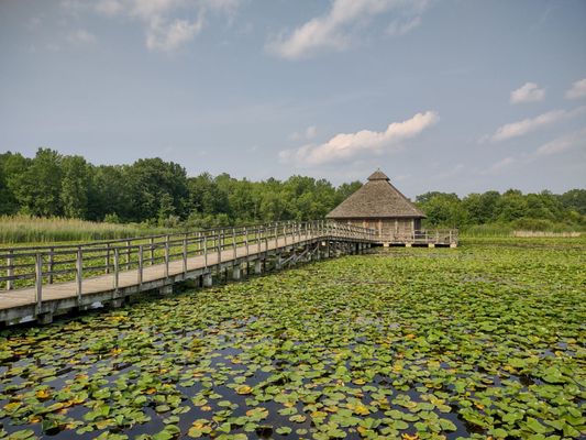 CROSSWINDS MARSH - Updated October 2025 - 88 Photos - 27600 Haggerty Rd ...