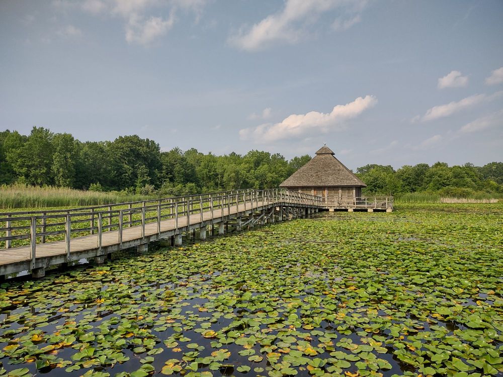 CROSSWINDS MARSH - Updated June 2025 - 87 Photos - 27600 Haggerty Rd ...