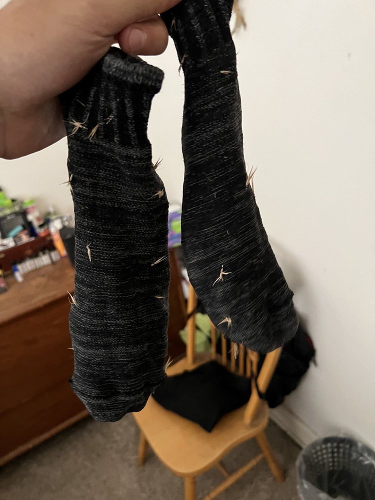 ANGELUS ROSEDALE CEMETERY - Updated November 2024 - 121 Photos & 46 ...