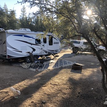 PINE TREE RV PARK - Updated October 2025 - 14 Photos & 24 Reviews ...