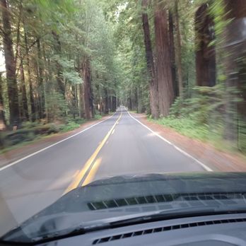 ANCIENT REDWOODS RV PARK - Updated October 2025 - 91 Photos & 32 ...