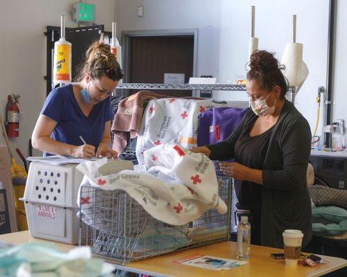 STRAY PAWS ANIMAL HAVEN - Updated June 2026 - 44 Photos & 34 Reviews ...
