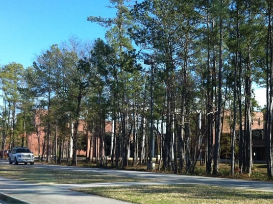 THE WOODLANDS HIGH SCHOOL - MAIN CAMPUS - Updated December 2025 - 6101 ...