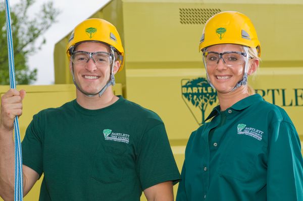 BARTLETT TREE EXPERTS - Updated November 2025 - 48 Photos - Manassas ...