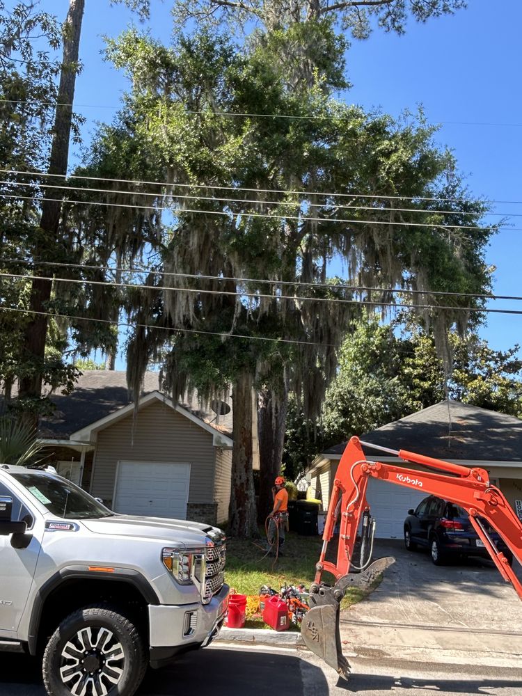 HANGIN LIMBS - Updated October 2025 - 304 N Lanier St, Lyons, Georgia ...