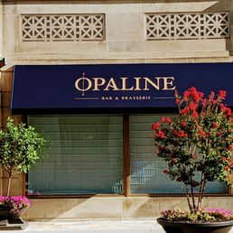 OPALINE BAR - Updated January 2026 - 181 Photos & 83 Reviews - 806 15th ...