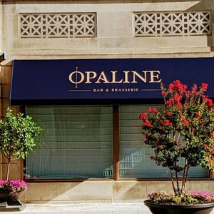 OPALINE - 88 Photos & 42 Reviews - 806 15th St NW, Washington, DC ...