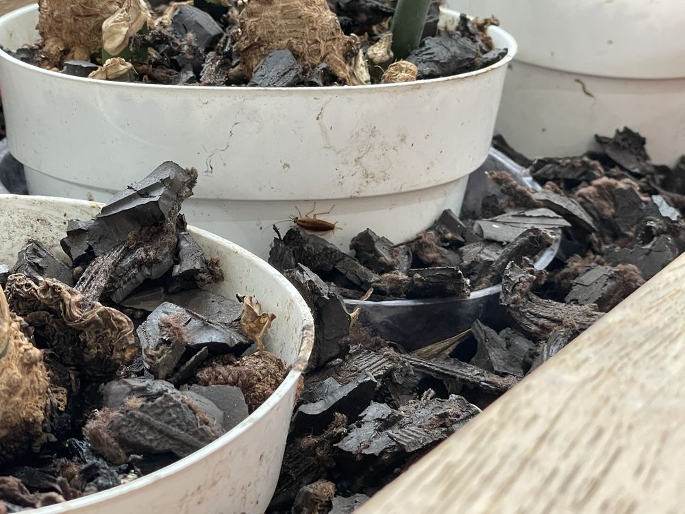 EASTRIDGE FOOD COURT - Updated December 2025 - 20 Photos & 12 Reviews ...