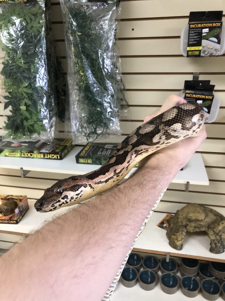 ARIZONA REPTILE CENTER - Updated August 2025 - 30 Photos & 80 Reviews ...