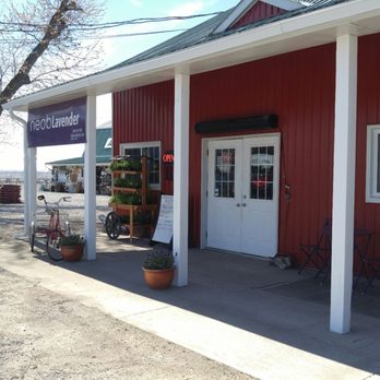 NEOB LAVENDER - Updated July 2025 - 76 Photos & 16 Reviews - 933 ...