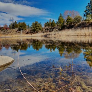 Open for Business - MAYBERRY PARK - 198 Photos & 47 Reviews - 121 ...