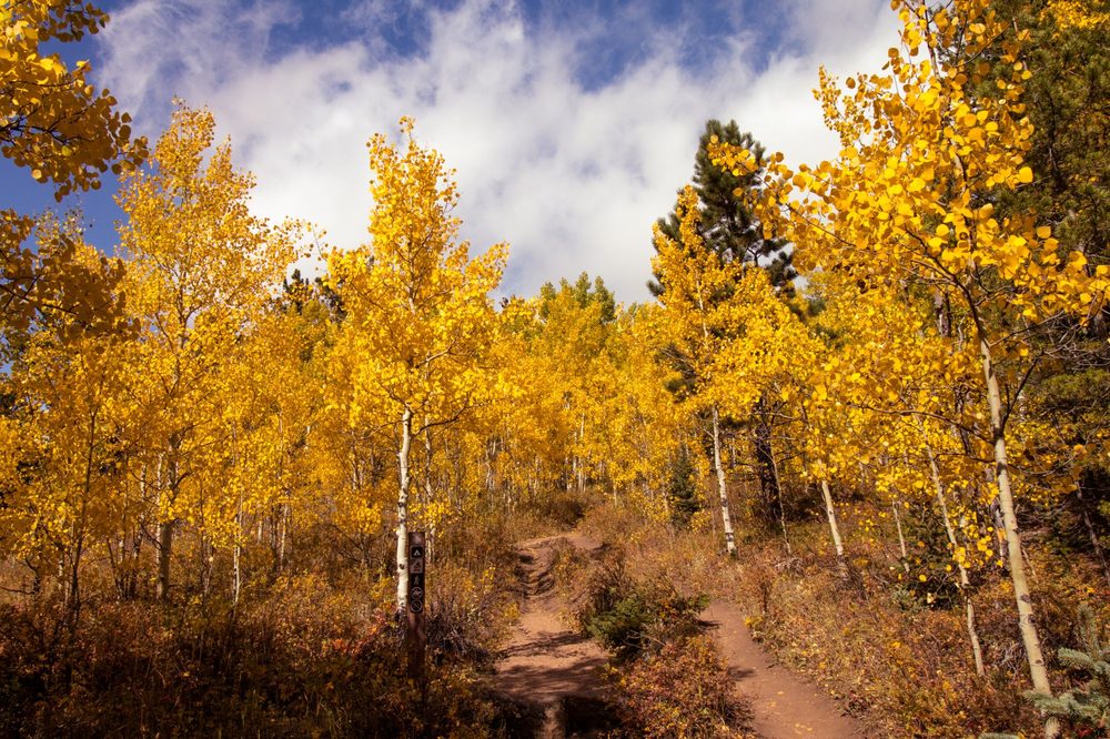 GOLDEN GATE CANYON STATE PARK - 303 Photos & 83 Reviews - 92 Crawford ...