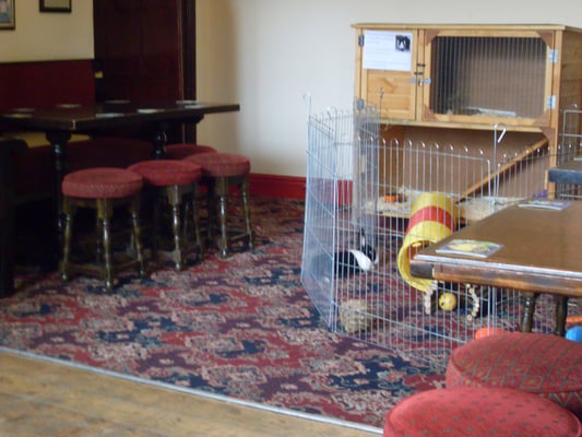 THE ALEXANDRA HOTEL - Updated October 2025 - Siddals Road, Derby ...