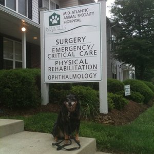 CALVERT WELL PET CLINIC - Updated June 2024 - 11 Reviews - 2240 ...