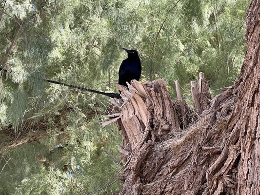 AGRITOPIA - Updated May 2024 - 104 Photos & 37 Reviews - 3000 E Ray Rd ...