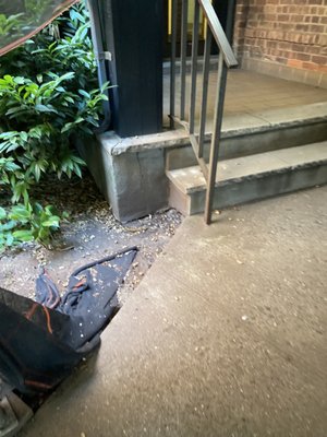 ARGO MANAGEMENT - Updated January 2026 - 18 Photos & 91 Reviews - 50 W ...