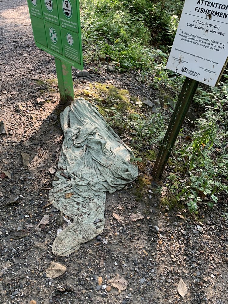 SAVAGE MILL TRAIL - Updated January 2025 - 73 Photos & 15 Reviews ...