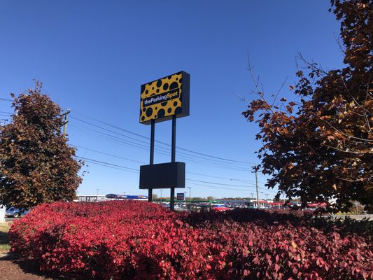 THE PARKING SPOT - 59 Photos & 154 Reviews - Parking - 9 Schoephoester ...