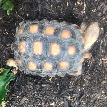 ARIZONA GAME AND FISH DEPARTMENT - Updated December 2025 - 10 Reviews ...