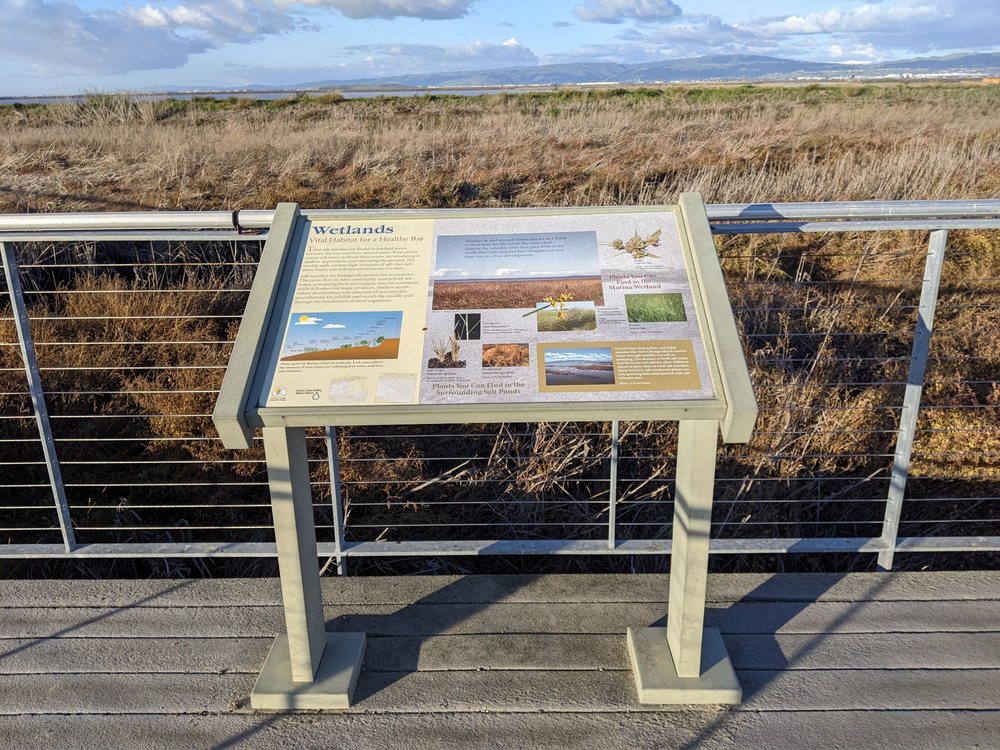 ALVISO MARINA COUNTY PARK - 1330 Photos & 187 Reviews - 1195 Hope St ...