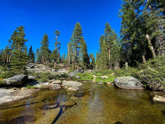 BASSI FALLS - Updated March 2025 - 227 Photos & 36 Reviews - El Dorado ...