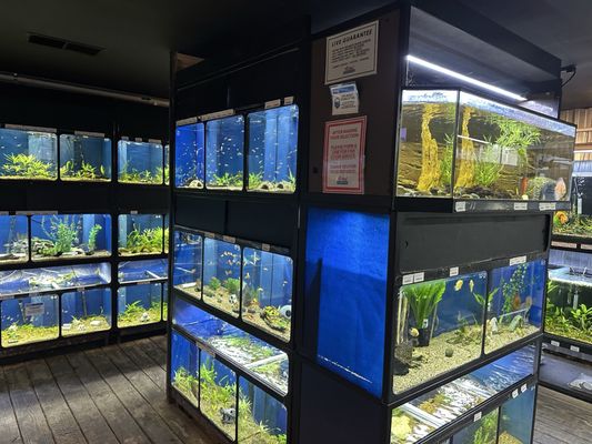 THE REEF AQUARIUM SHOP - Updated December 2025 - 133 Photos & 83 ...