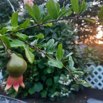 ONE GREEN WORLD - Updated January 2026 - 83 Photos & 86 Reviews - 6469 ...