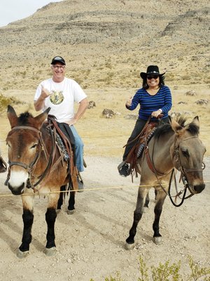 COWBOY TRAIL RIDES - Updated June 2024 - 317 Photos & 161 Reviews ...