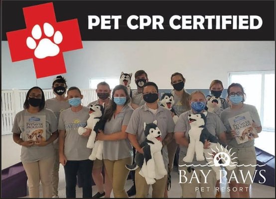 Bay Paws Pet Resort - Updated COVID-19 Hours & Services - 30 Photos ...